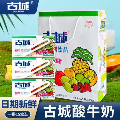 新货山西特产古城酸奶酸牛