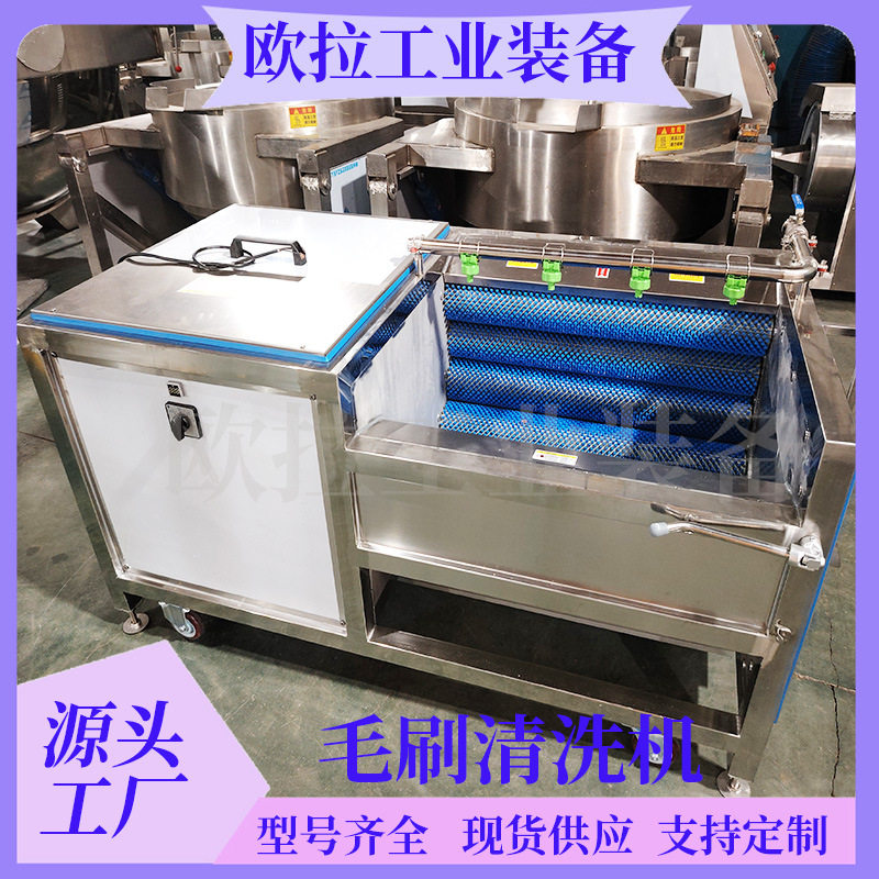 毛辊清洗去皮一体机 萝卜毛刷清洗设备 莲藕清洗去泥机