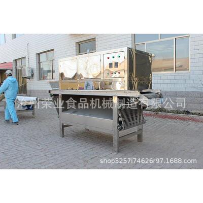 ryl2000链式大蒜脱皮机自动不锈钢商用电动大蒜脱皮机