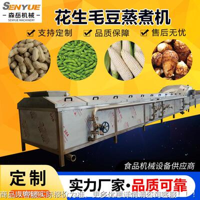 工厂漂用果蔬蒸线VXS煮漂烫鲜食玉米预煮漂烫冷却机流水花菜烫杀