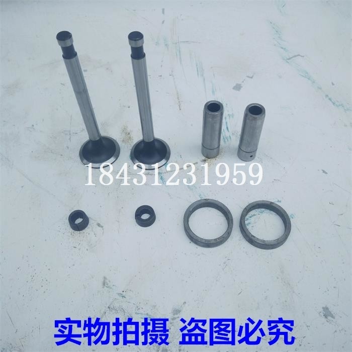 桃源湖南165F风冷柴油机气门四配套 气门组件