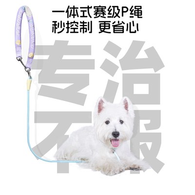 BORORO狗狗牵引绳P绳中小型犬专用遛狗狗链子防爆冲宠物用品
