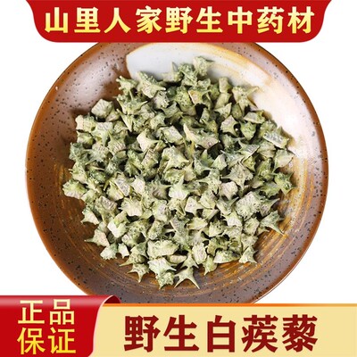野生刺蒺藜中药材官方旗舰店正品白蒺藜中药材白疾藜七厘子蒺藜子
