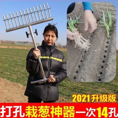 种葱神器载葱载苗器打眼大葱叉子自动打孔工具洋葱种菜移栽移苗器