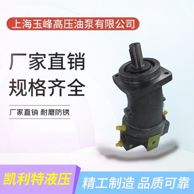 上海玉峰 柱塞泵 YFA7V160DR1RPF00 A7V58/78/80/117/160DR1RPF00