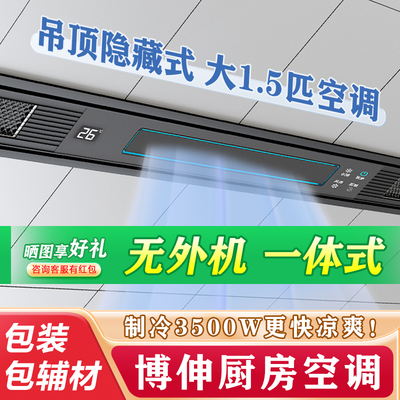 一体式厨房专用空调 家用隐藏嵌入式带照明吊顶无外机卫生间空调