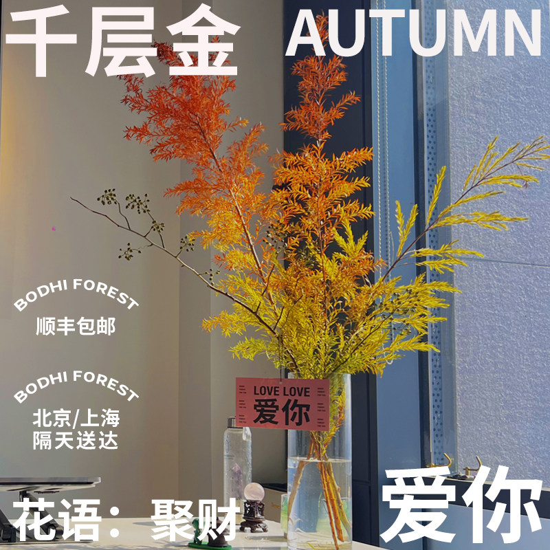 半夏森林大束千层金鲜切枝鲜花水培进口植物插花花束家居样板间花