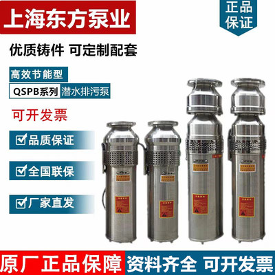 上海东方QSP不锈钢潜水喷泉泵东方喷泉泵