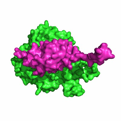 Docking分子模拟分子对接分子动力学设计服务费