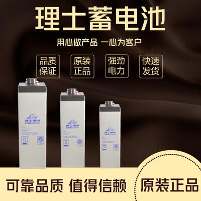 LEOCH理士DJ100 200 300 2V100AH 400 500 2V200AH铅酸应急蓄电池