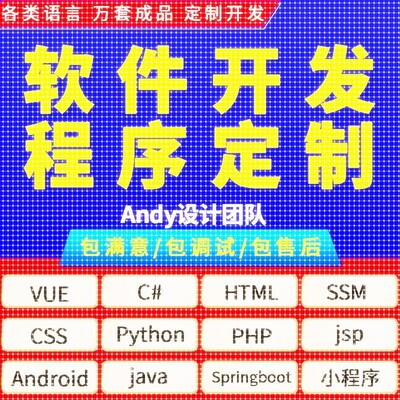 计算机程序设计java代编安卓net网站php软件python大数据开发系统