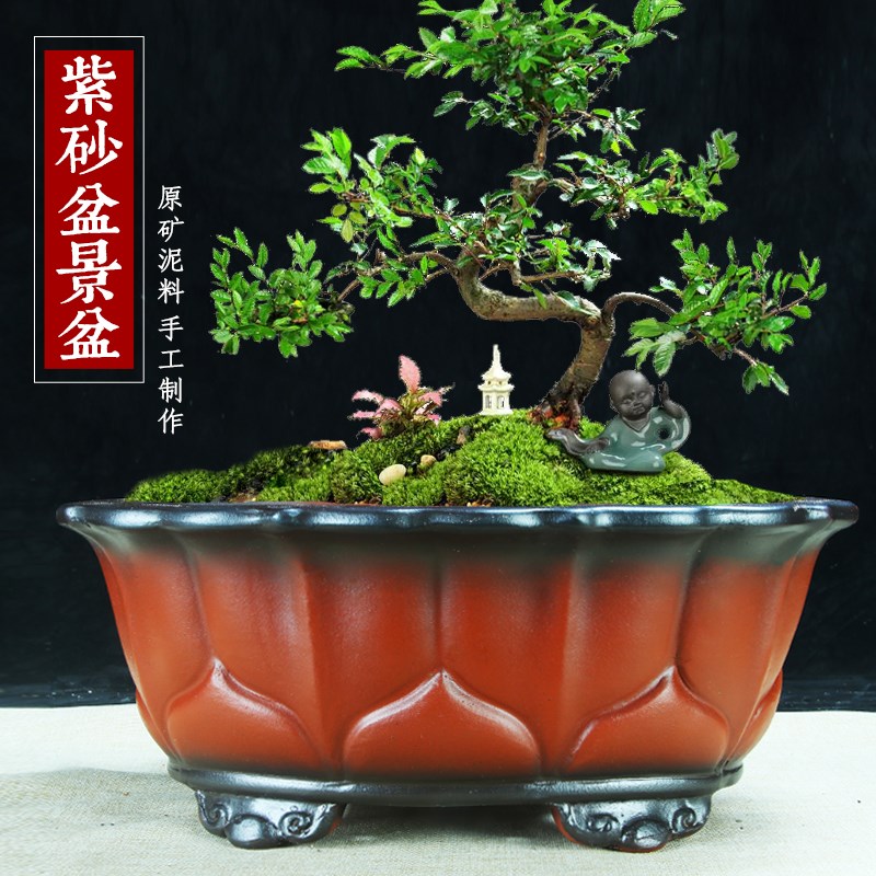 宜兴紫砂花盆特价清仓大口径多肉老桩盆景盆特大号绿植假山陶瓷盆
