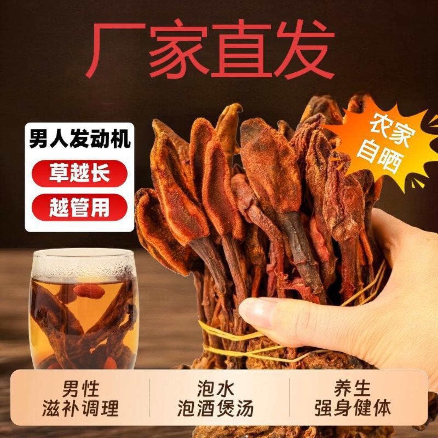 长白山特产不老草神仙草列当草苁蓉东北特产中药材炖汤泡酒大棵