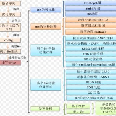 宏基因组数据组装物种注释kegg基因功能注释Binning分箱MAG进化树