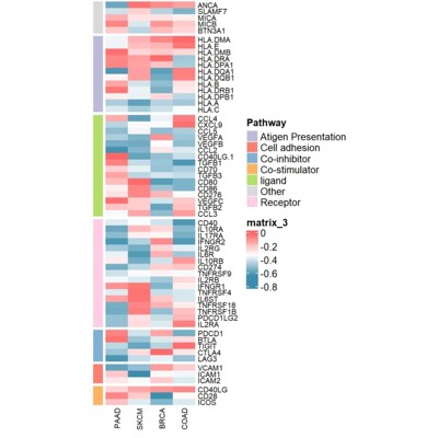 网络药理学分子对接服务Gromacs动力学模拟DFT计算Pymol