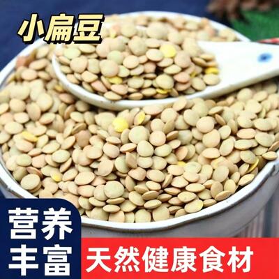 小扁豆金豌豆低脂健身五谷杂粮甘肃绿扁豆Lentils发豆芽旗舰店