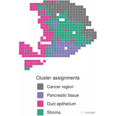 【空间转录组】MIA分析,评估空间region富集的细胞类型
