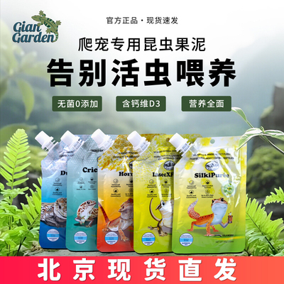 巨人爬宠昆虫泥果泥守宫睫角蟋蟀