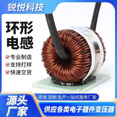 NPF225060/04600μH40A磁环电感/大功率环型电感湖南