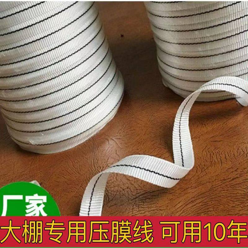 压膜绳温室大棚配件大全专用压膜带养殖绳子压膜线白色涤纶压棚绳