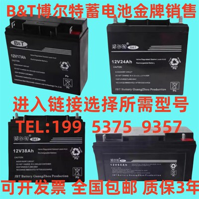 B&T博尔特蓄电池12V17AH24AH38AH65AH100AH120AH消防主机/ups备电