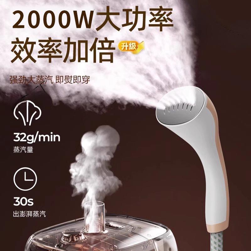 德国立式手持挂烫机2025新款家用商用服装店全自动蒸汽熨烫机熨斗
