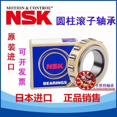 进口NSK减速机圆柱轴承RN202 203 308 309 310 312 313 328 228 M