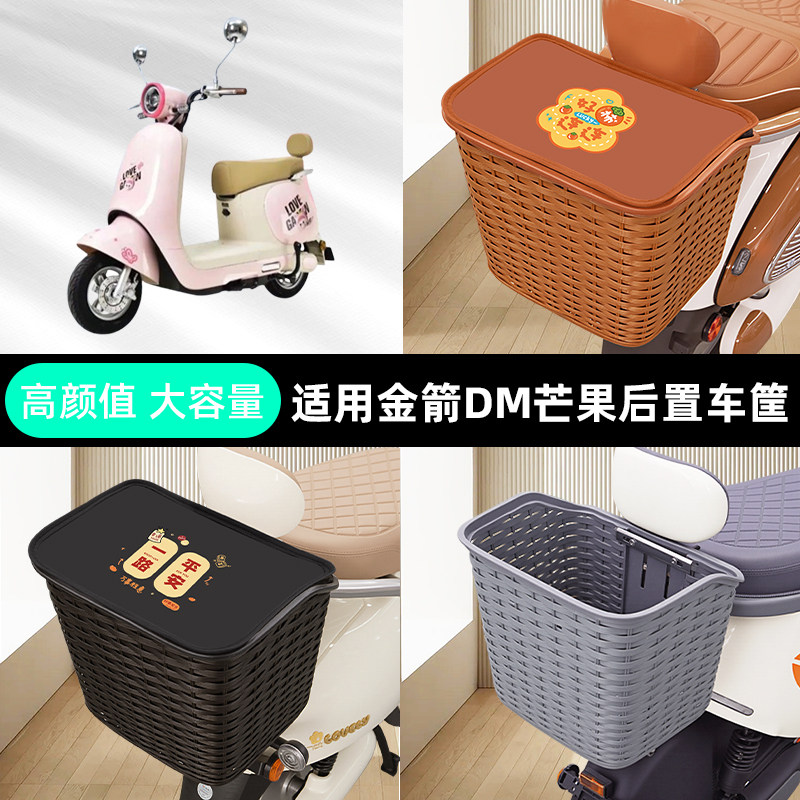 适用金箭DM芒果都市版电动车专用后备箱后尾箱通用大容量支架配件