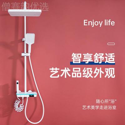 哑白花洒套19109装围灯实用灰数显黄铜家用枪淋浴易简花洒氛套装