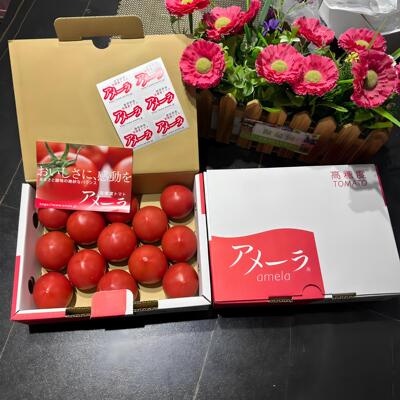 Amela 静冈高糖度番茄日本静冈水果番茄似品种国产西红柿