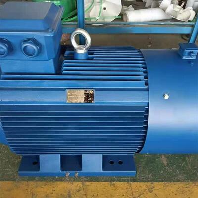 山东厂家直供YPN315M-8/75WYPN系列变频调速三相异步电机质保