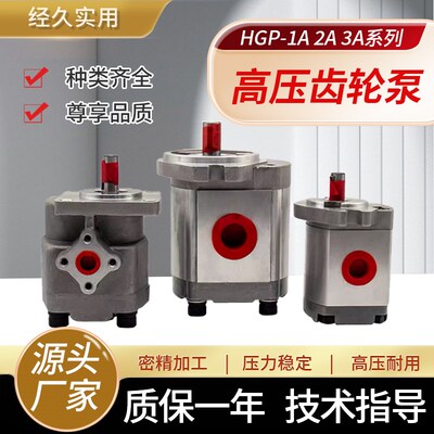 齿轮油泵HGP-1A-F2R F3R F6R/HGP-2A-F8R F12R /HGP-3A-F14R F25R