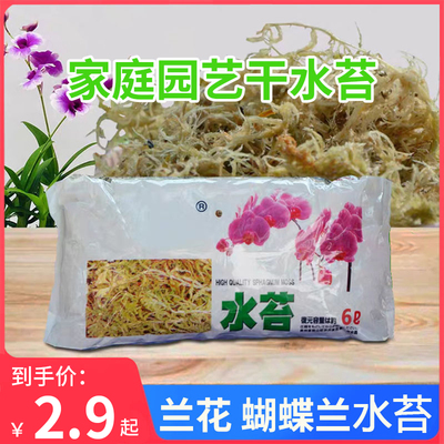 优质水苔无菌干水苔蝴蝶兰花专用营养土苔藓石斛食虫植物乌龟爬宠