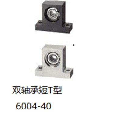 带座轴承座双轴承短T型全系列孔径20 BGMWB6004ZZ-40
