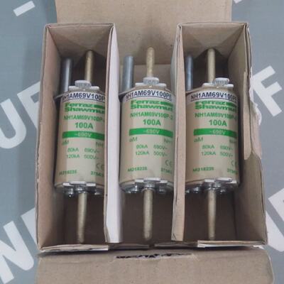 NH1AM69V100P2  FERRAZ SHAWMUT  NH1AM69V100P2  Cart. Ind.680V