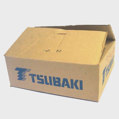 Nouvelle Chane TSUBAKI C2052 AS 10
