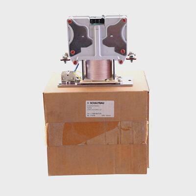 SCHALTBAU 11696867278 C295AG220EVU2 doublepole highvoltage N