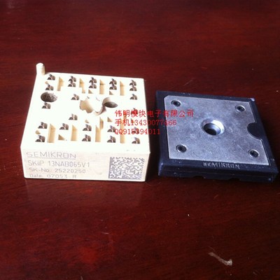 SKIIP13NAB065V1 SKIIP14NAB065V1 SKKIIP12NAB066V1原装正品