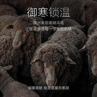 锦行记袜子女羊毛保暖微压小腿袜秋冬植物抗菌显瘦女士长袜礼盒装