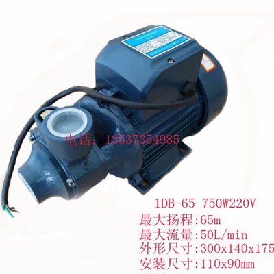 1DB-65家用清水泵漩涡泵1.5DK-20离心泵 工业三相增压泵750W380V