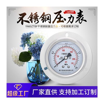 圣迪不锈钢轴向带边YN60ZTBF充油抗震法兰边背接式M14*1.5压力表