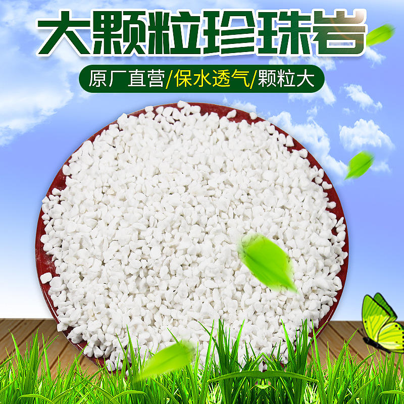珍珠岩园艺花卉绿植蔬菜育苗多肉栽培用基质拌土透气保湿土壤改良