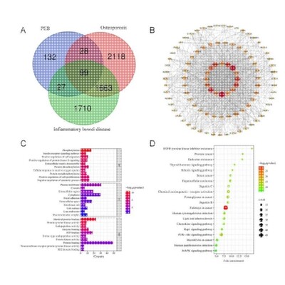 分子动力学模拟 DFT计算高斯 MS Gaussian Materials studio