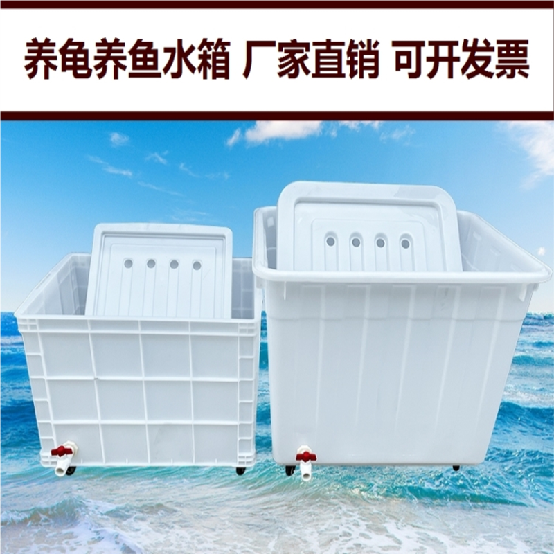 厂家直销带孔耐磨养殖水箱养鱼特厚带轮子养龟塑料周转箱带排