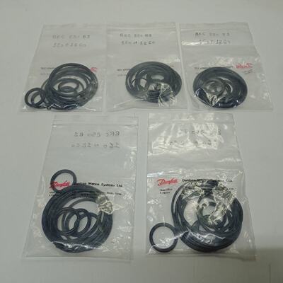 Kit De Sello Damcos Para BRC 250 B1 PN 160N1260  NUEVO Envo