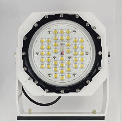 Sunil Elecomm LEDF050UW LED Flood Light