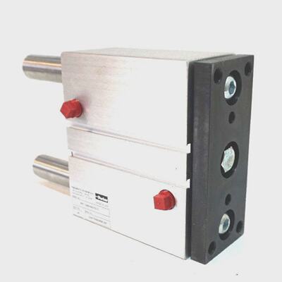 Nuevo Cilindro Guiado Parker P5TC050W07527 P5TC050W07527