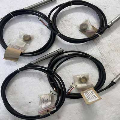 Daniammant盐度计SL8006探头--议价商品