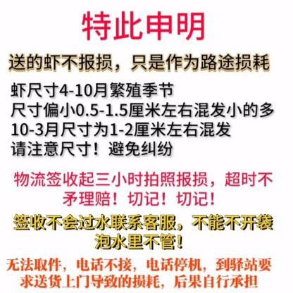 繁殖的活虾小观赏淡水虾苗除藻清洁虾冷水鱼缸里养的小虾喂龟
