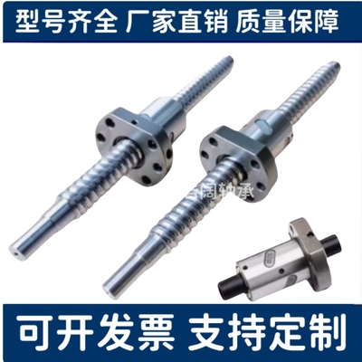 C-TBSE TBSB0802 1002 1004 1505 1516 1520 2010 3210滚珠丝杆
